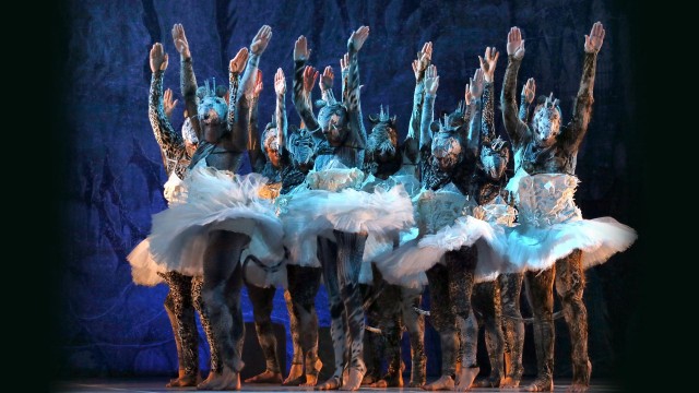 Home page / Kyiv Modern Ballet